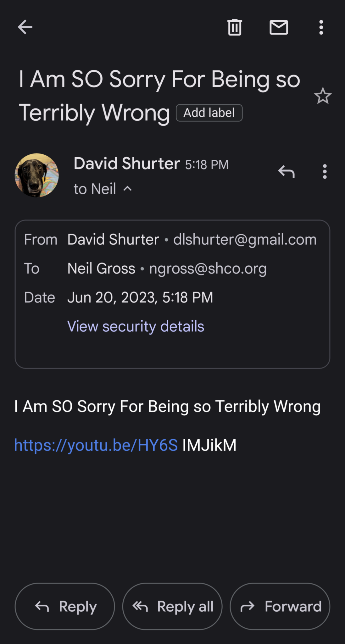 DavidShurter.com
